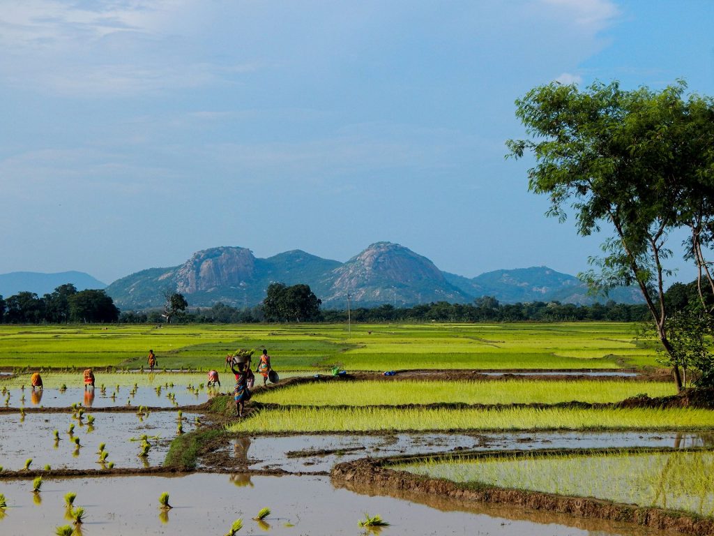 Purulia Ajodhya Hills | Ocean6 Holidays