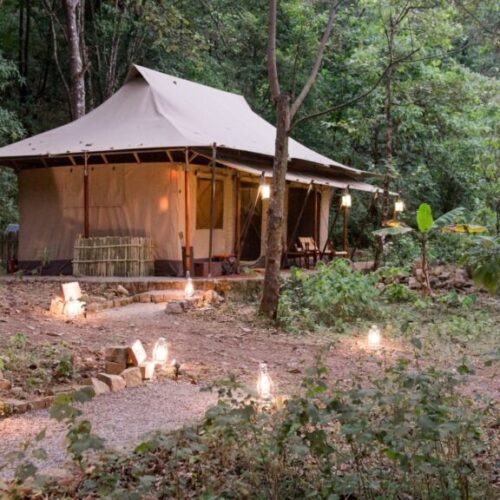 Kohima Glamping - Ocean6 Holidays