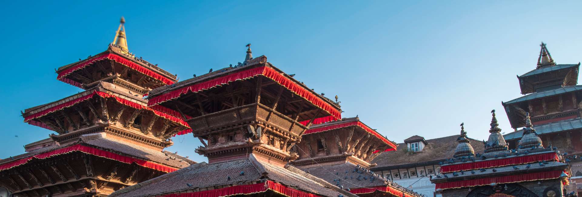 8N/9D Grand Nepal Tour | Ocean6 Holidays
